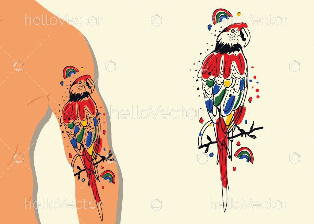 Scarlet Macaw Colorful Tattoo Illustration - Download Graphics & Vectors